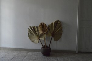 Detalhe da parte interna