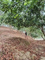 Quarto Duplo Deluxe, varanda, vista para a colina | Casa de banho | Uma banheira, artigos de higiene pessoal grátis, toalhas fornecidas 