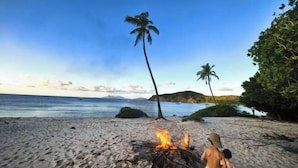 Cena de praia com fogueira e palmeiras.