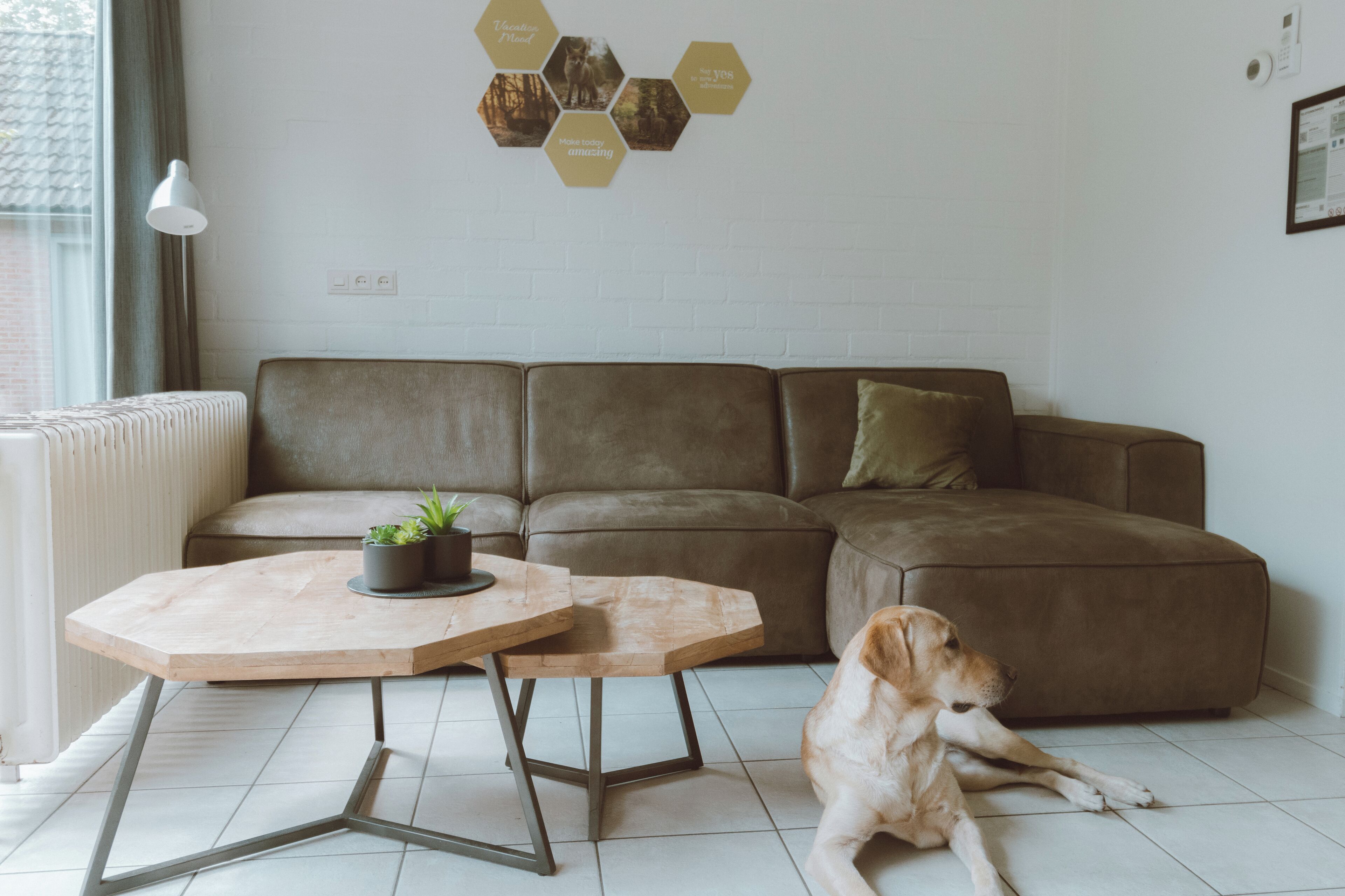 Verblijf In De Ijssel Plus Bungalow Voor 4 Personen Op Vakantiepark De Sallandshoeve En Geniet Van Comfort En Natuur In Overijssel. - Raalte