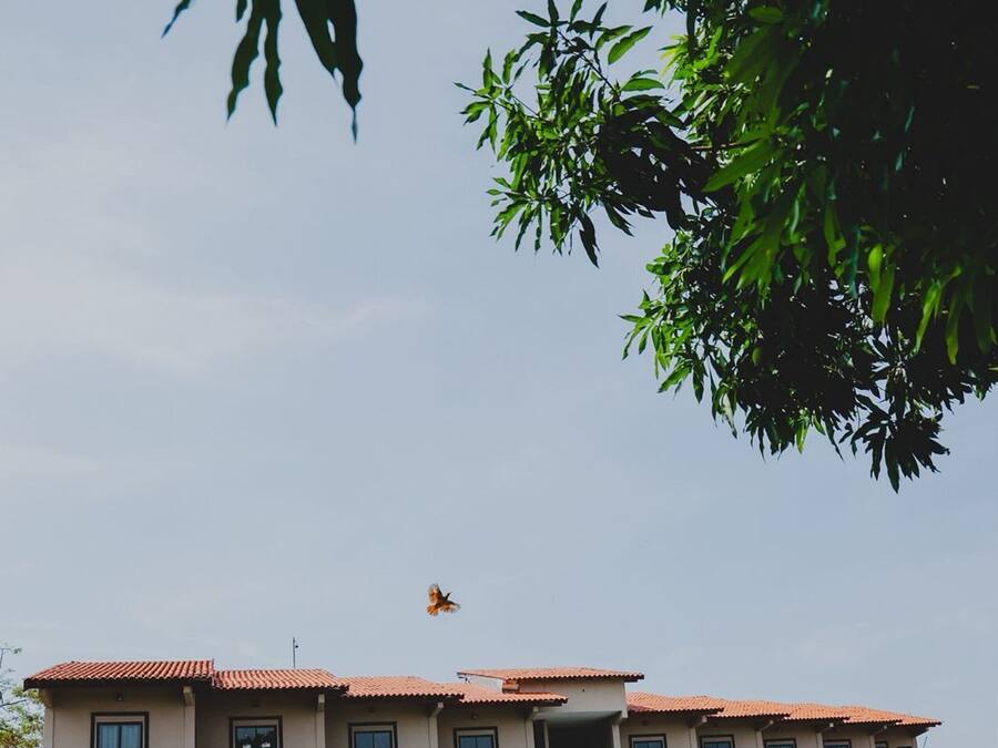 Estúdio Comfort | Exterior