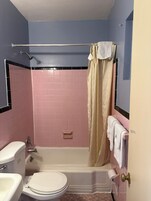 Quarto Individual | Casa de banho | Uma banheira, toalhas fornecidas, sabão, papel higiénico 