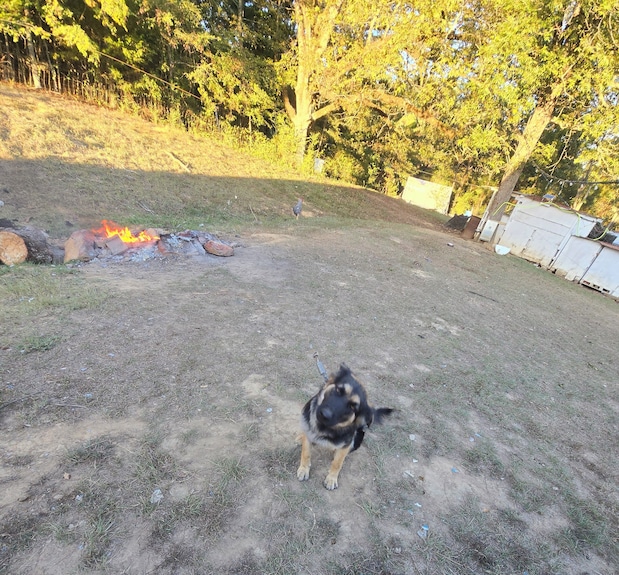 Campground,fishing Pond/farm Petting And Feeding, Bright Stars/fruit Trees Fire - 密西西比州