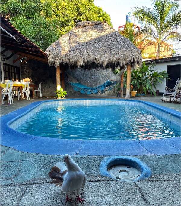 Hotel Oasis Managua - Managua