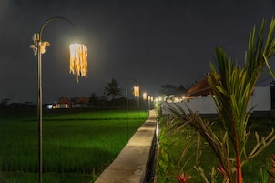 Um caminho iluminado por postes de luz serpenteia por um campo de arroz à noite.