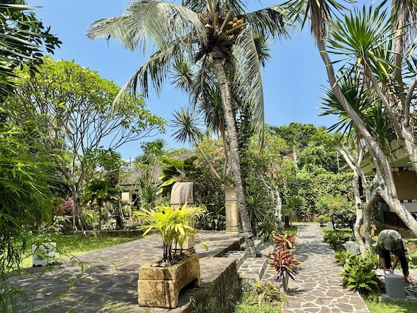 Vista para o jardim