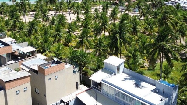 Um edifício moderno com piscina, cercado por palmeiras e uma praia.