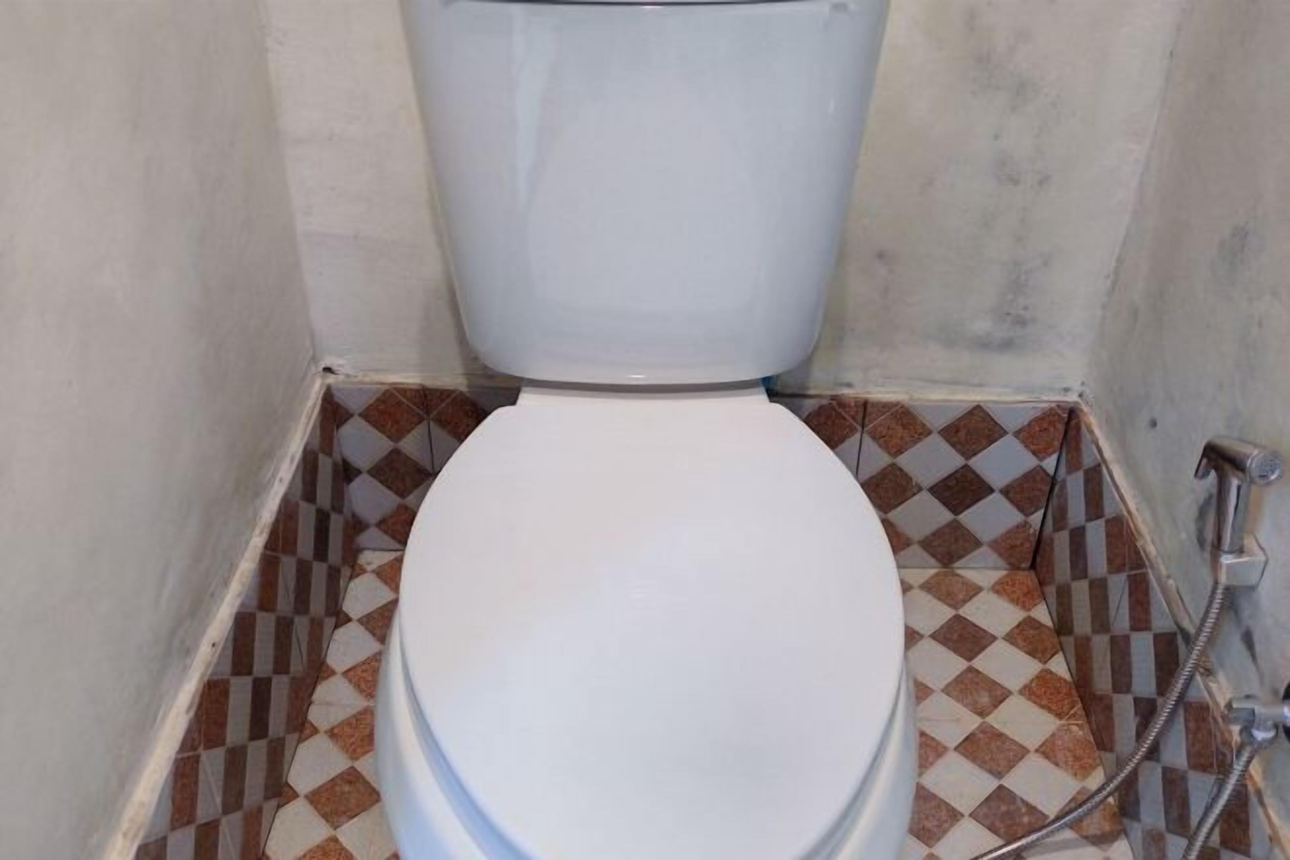 Sanitário com assento e tampa brancos, piso com padrão xadrez e mangueira de chuveiro visível.