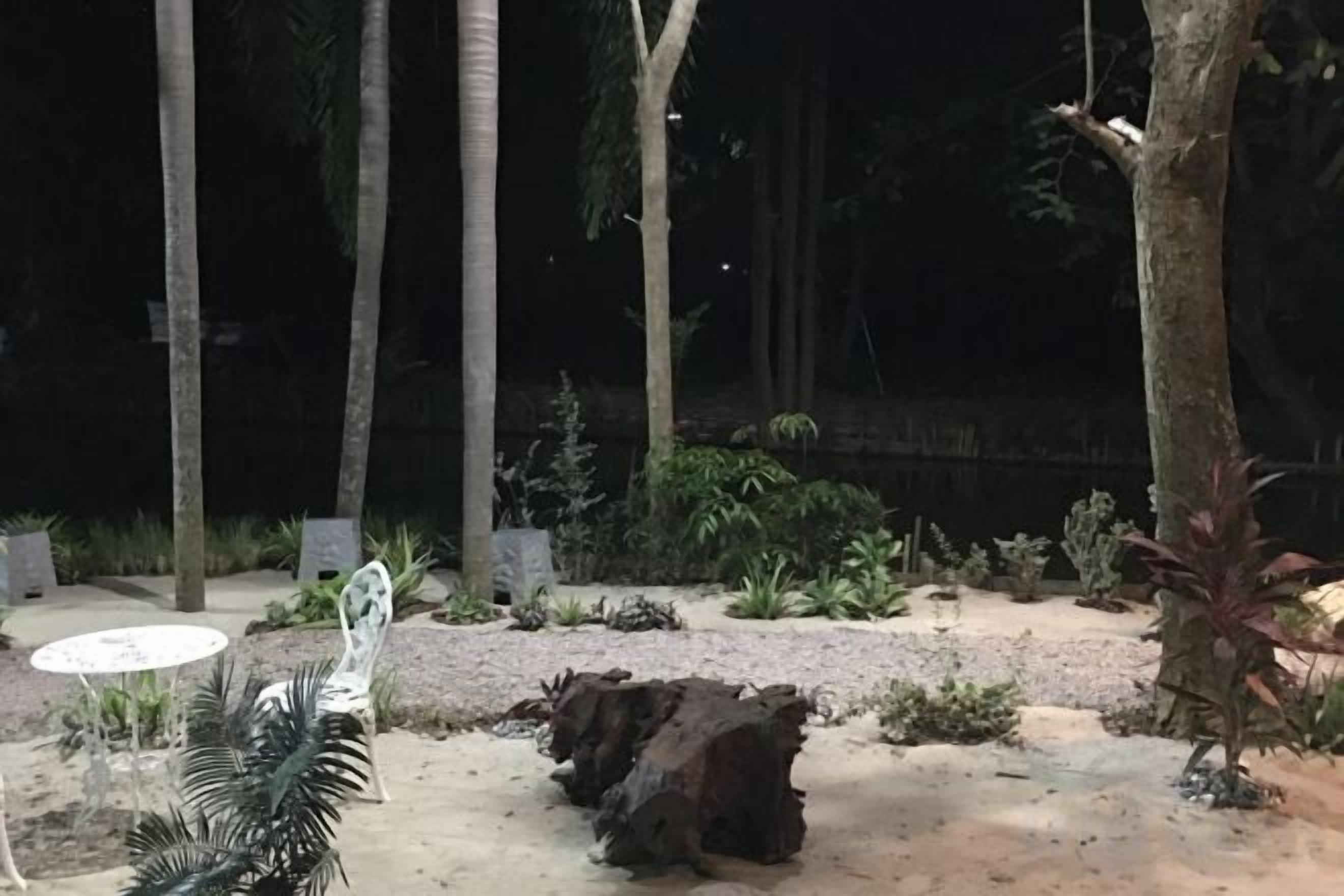 Área externa com mesa e cadeiras, cercada por árvores e plantas.