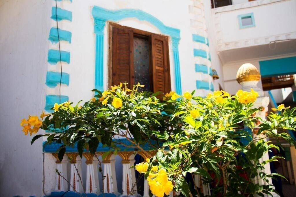 Um edifício com fachada azul e branca, uma janela com venezianas de madeira e uma planta com flores amarelas em primeiro plano.