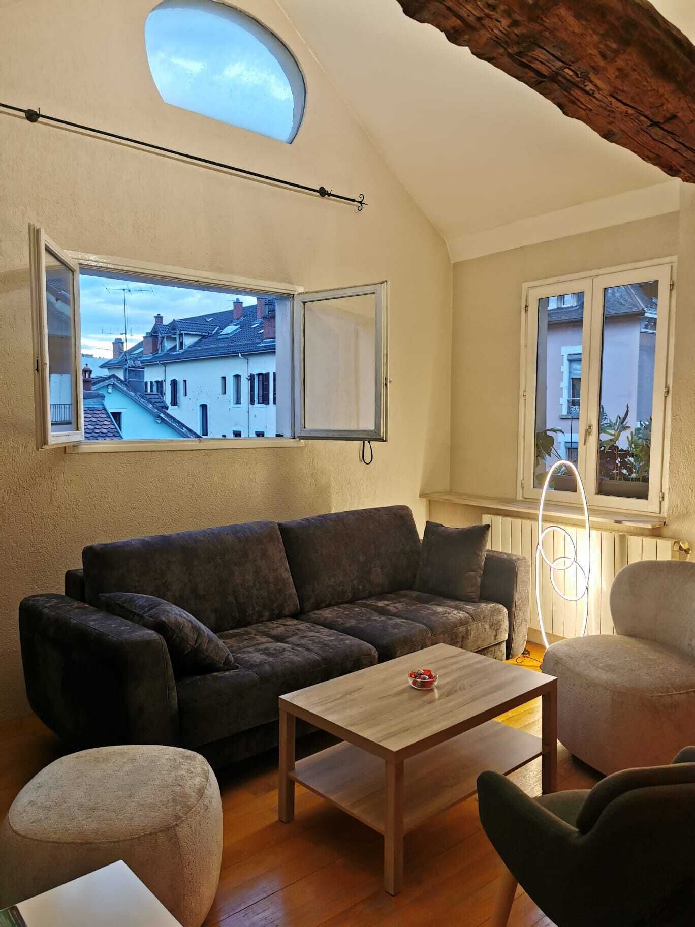 T4 Atypique Annecy Carnot - Cran-Gevrier