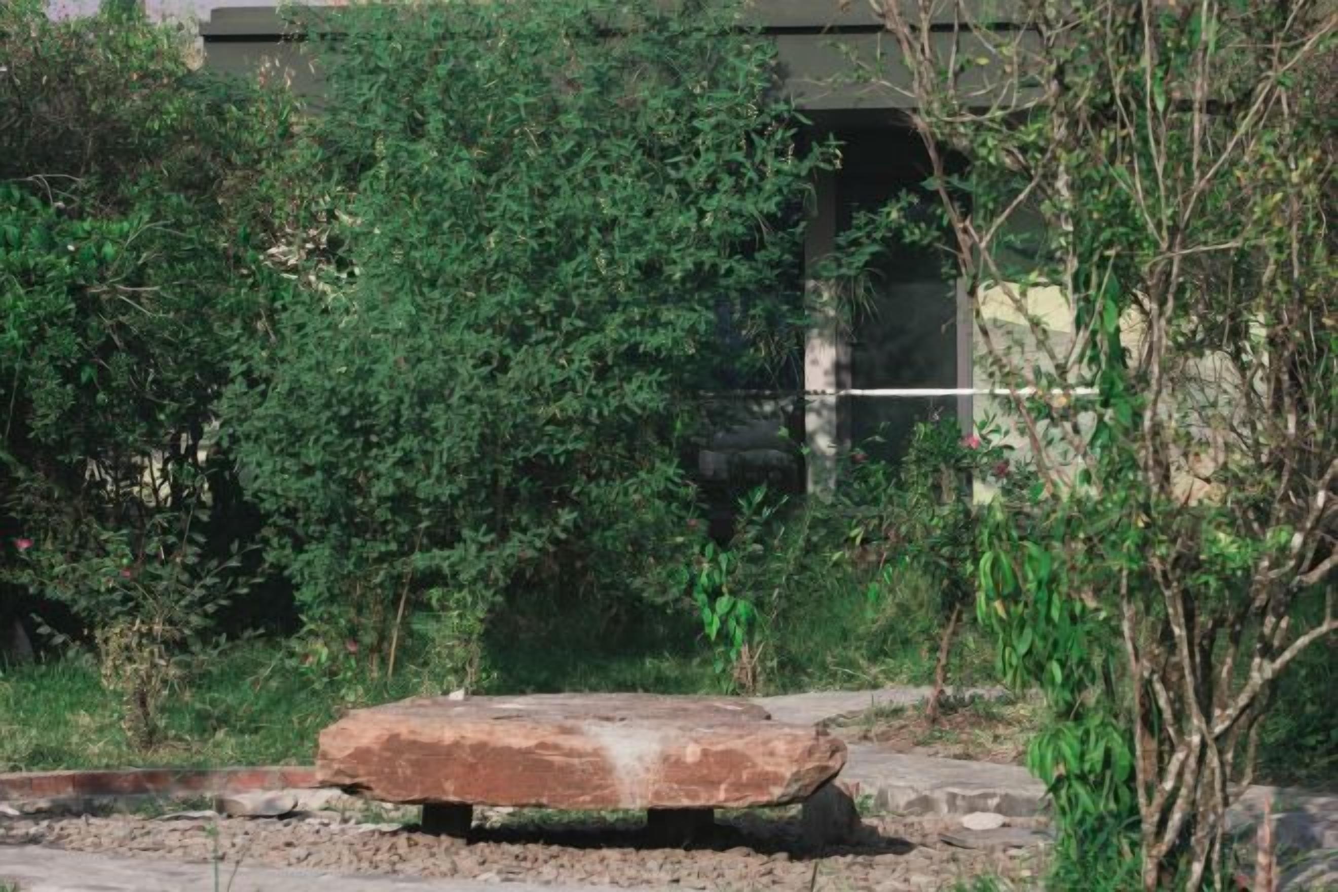 Pedaço de concreto em ambiente natural, com folhagem densa e um edifício ao fundo.