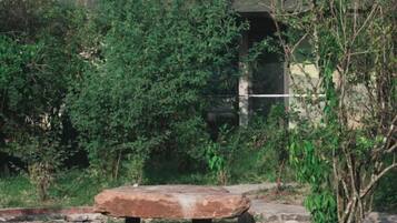 Pedaço de concreto em ambiente natural, com folhagem densa e um edifício ao fundo.