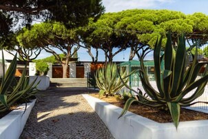 Uma trilha leva a um edifício com portão, cercado por árvores altas e plantas de agave.
