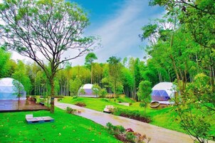 Várias estruturas em forma de cúpula em uma área arborizada, com uma trilha passando por elas.