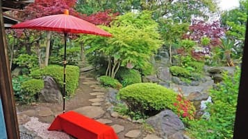 Terrenos do alojamento