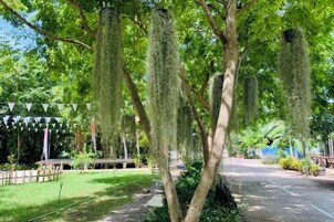 Terrenos do alojamento