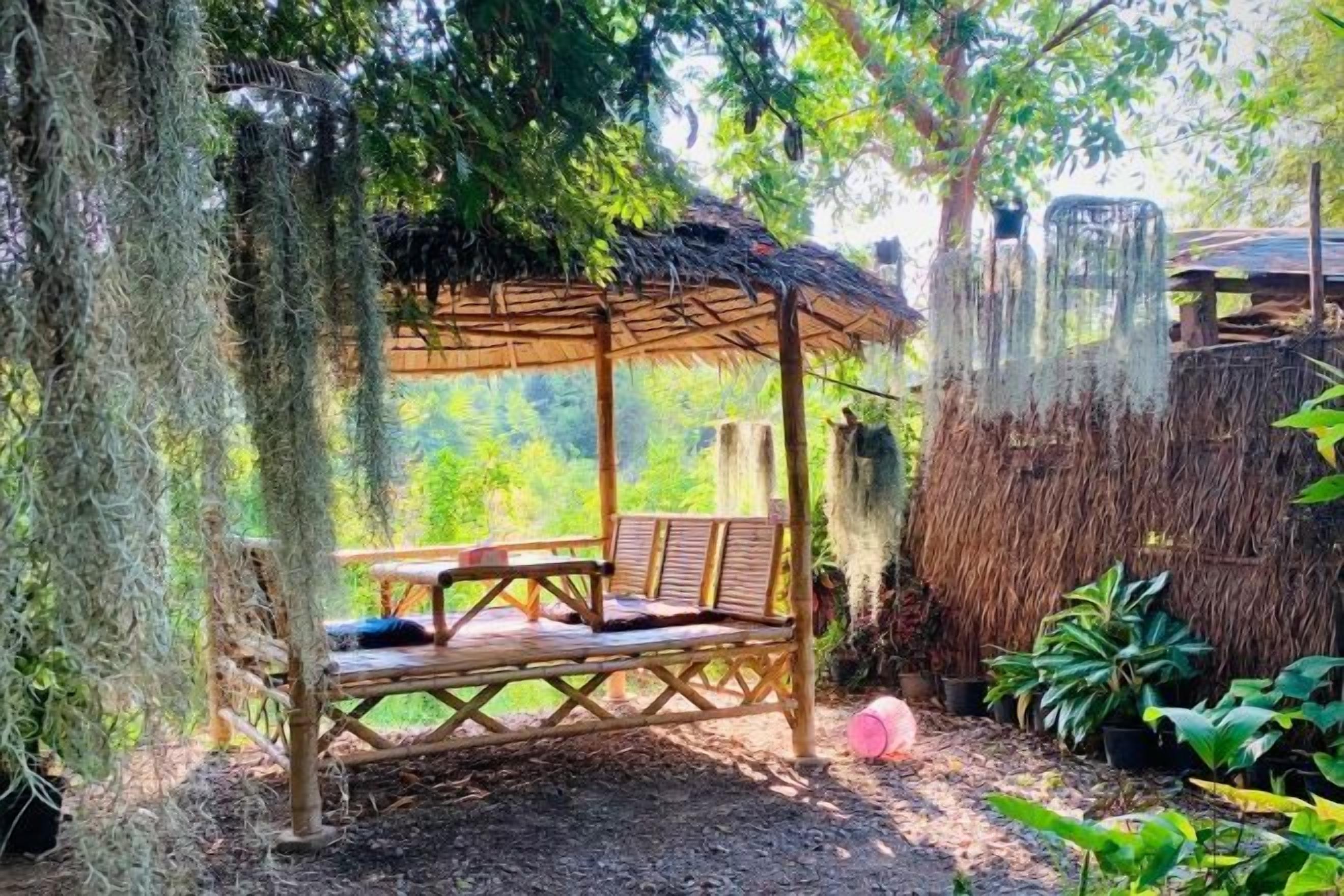 Um gazebo de madeira com telhado de palha, rodeado por vegetação exuberante e plantas.