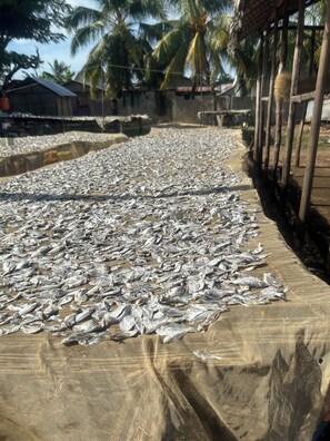 Waterfront bungalow on Manga be beach, beach restaurant, swimming pool ...