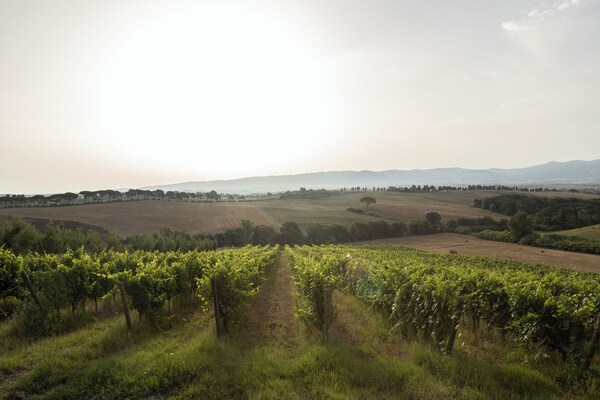 Agriturismo Cappellese - Rosignano Marittimo