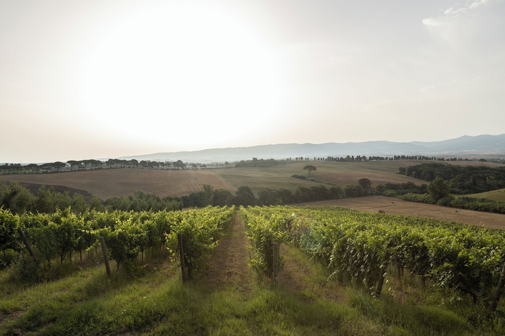 Agriturismo Cappellese - Rosignano Marittimo