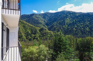 Vista para a montanha