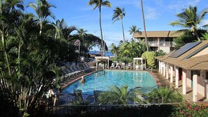 Uma piscina rodeada por palmeiras e espreguiçadeiras, com um edifício ao fundo.
