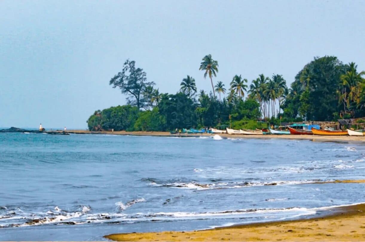 Uma praia com barcos e palmeiras.