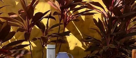 Pequeno-almoço preparado no momento diário incluído