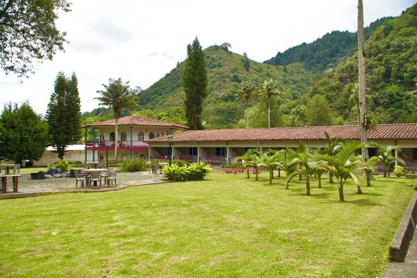 Dreamer Cocora - Quindío