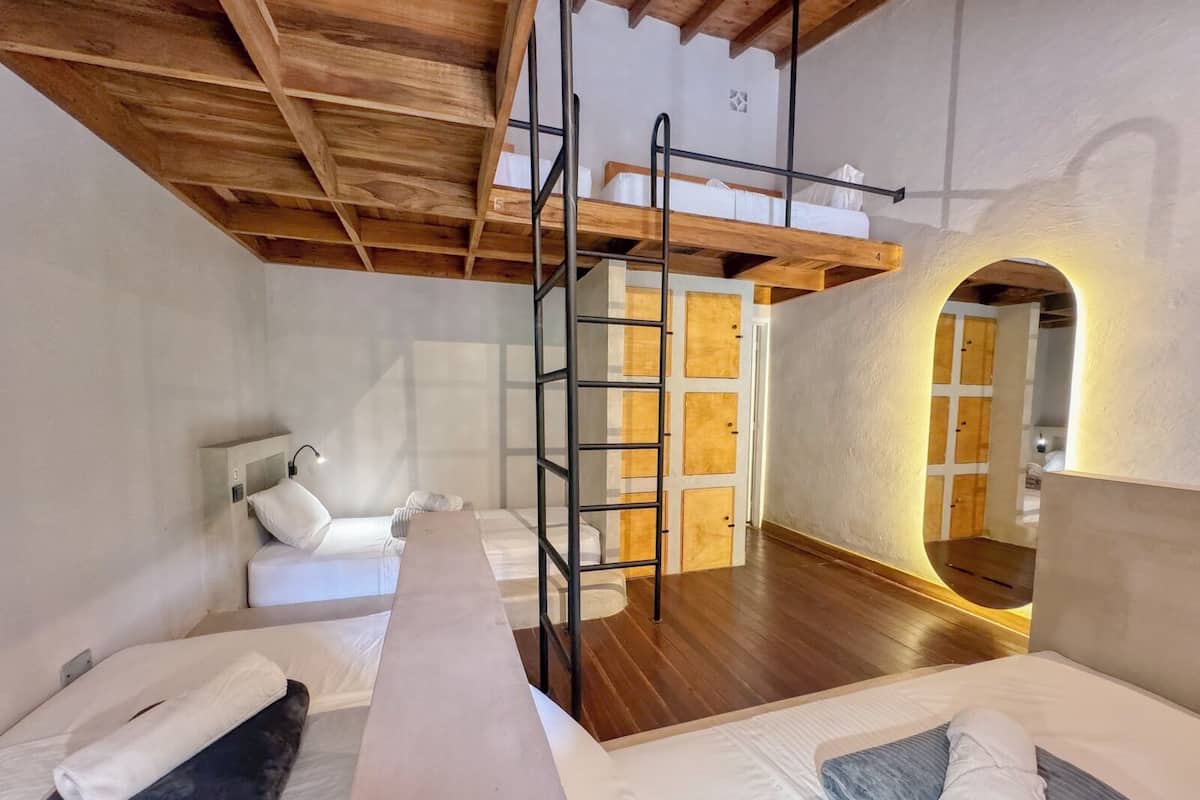 Dormitório Partilhado Comfort, vista para o jardim