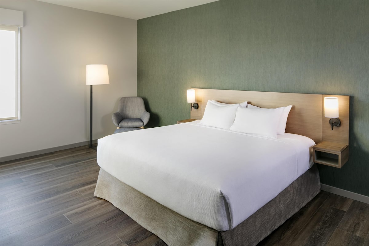 Quarto, 1 cama king-size e sofá-cama, banheira adaptada para pessoas com dificuldades motoras | Secretária, cortinas/cortinados opacos, ferro/tábua de engomar