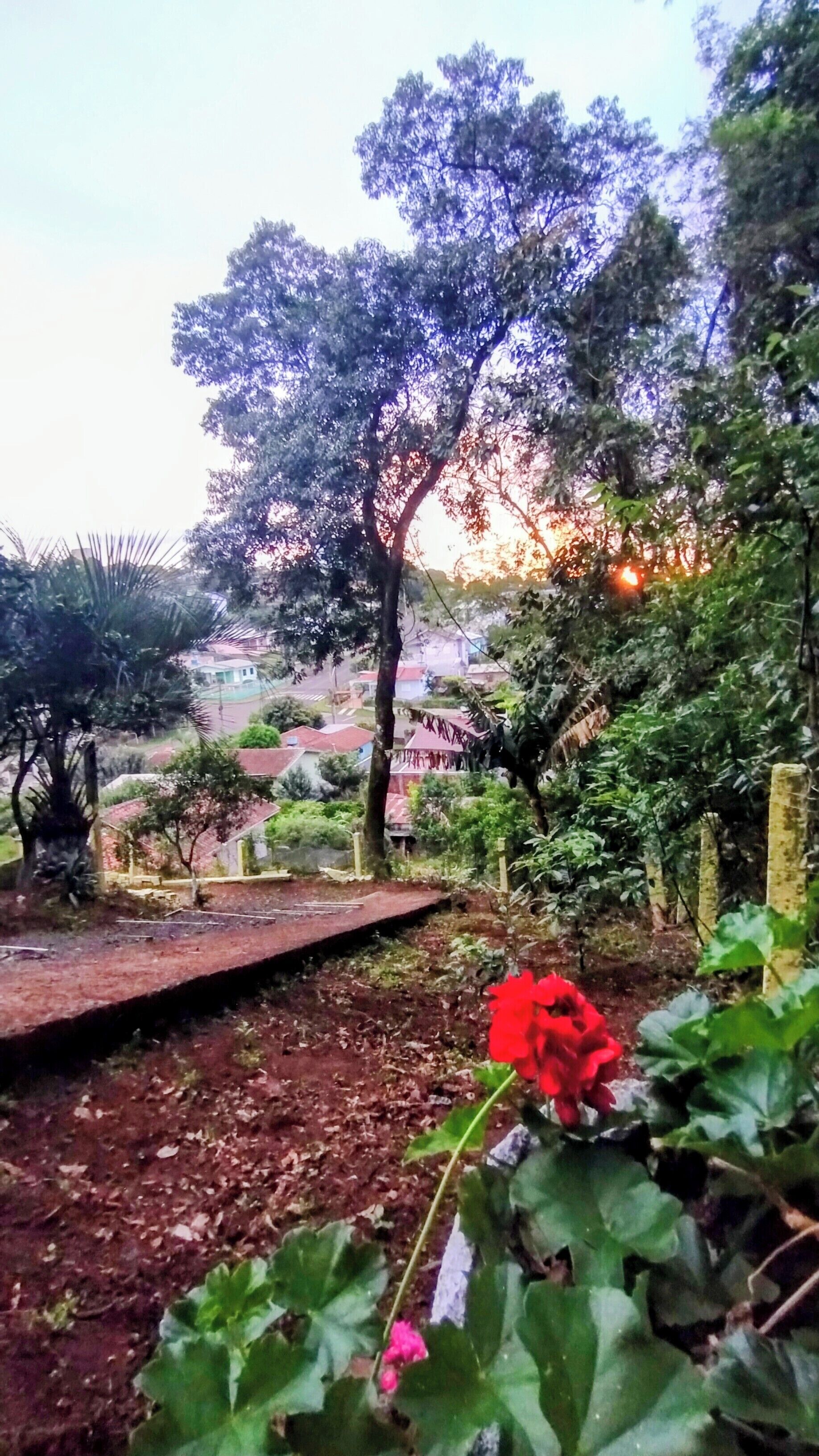 Terraço/pátio interior