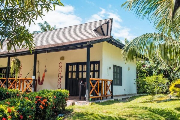 Dreamer Palomino - Caribbean