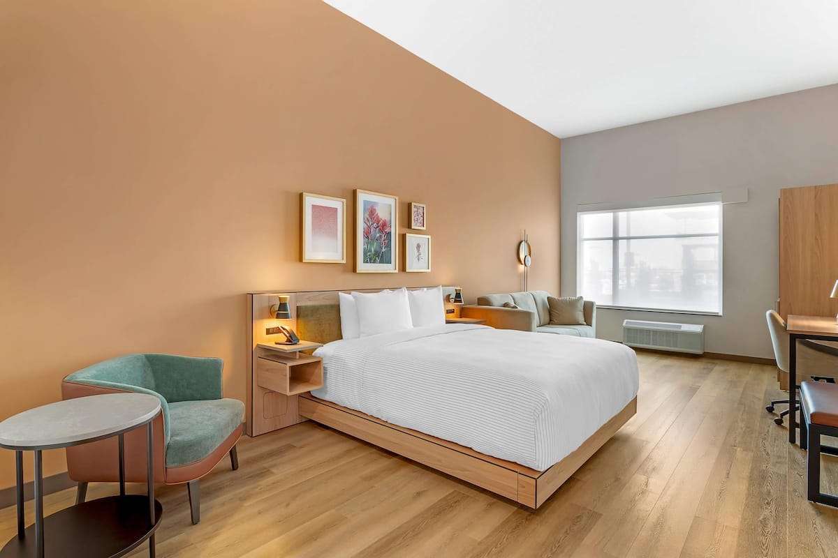 Quarto, 1 cama king-size, polibã adaptado para cadeiras de rodas, não fumadores | Wi-fi grátis