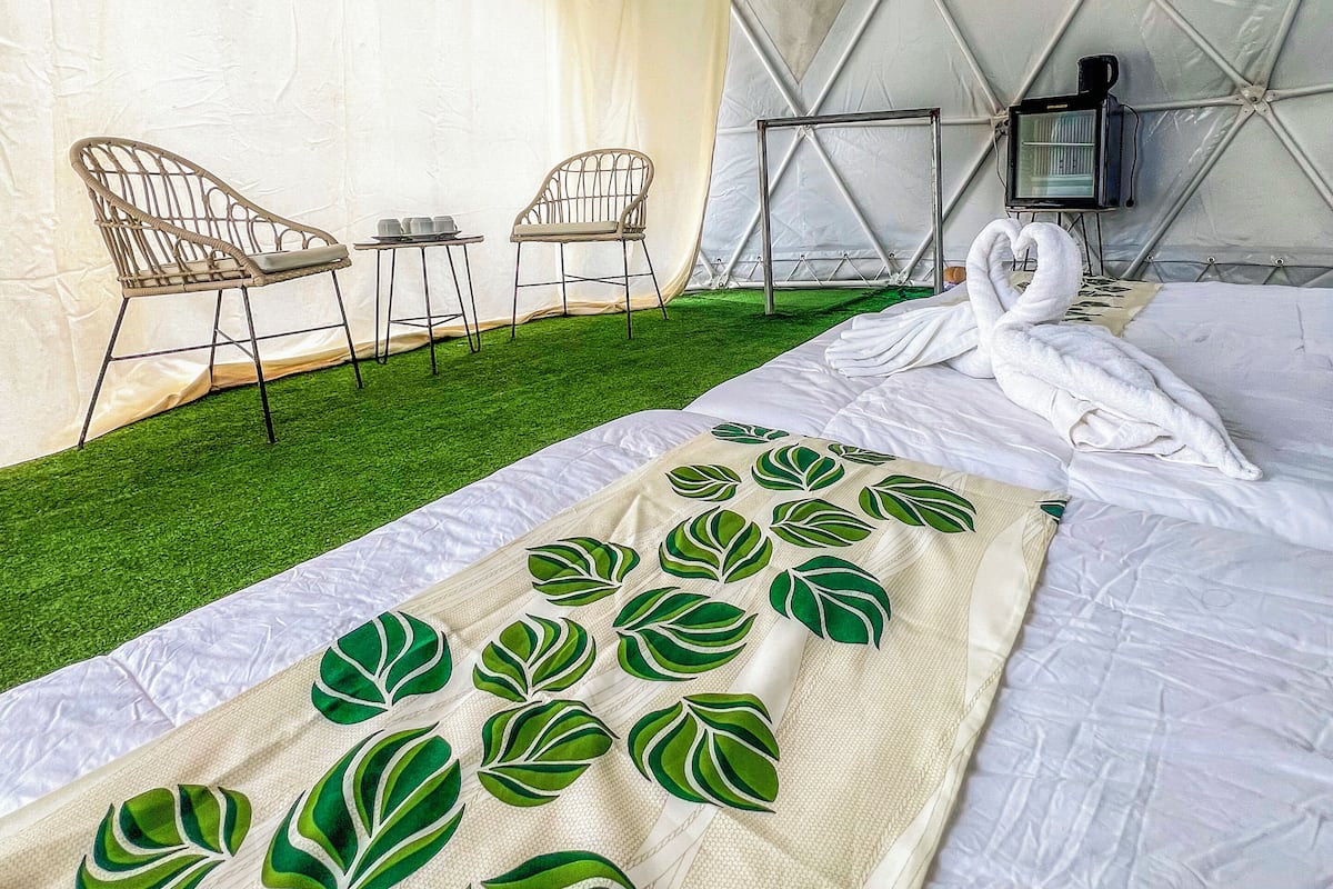 Quarto Duplo ou Twin Básico, não fumadores, vista para o jardim | Cofre no quarto, cortinas/cortinados opacos, roupa de cama fornecida