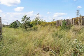 Casa | Vista da propriedade