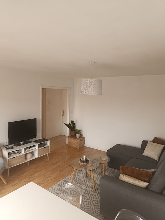 Appartement Meublé à Louer En Bail Mobilité, à Saint-andré-lez-lille - Lille