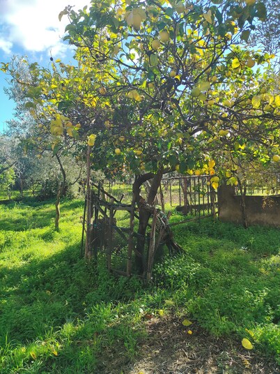 Holiday Calabria Rooms