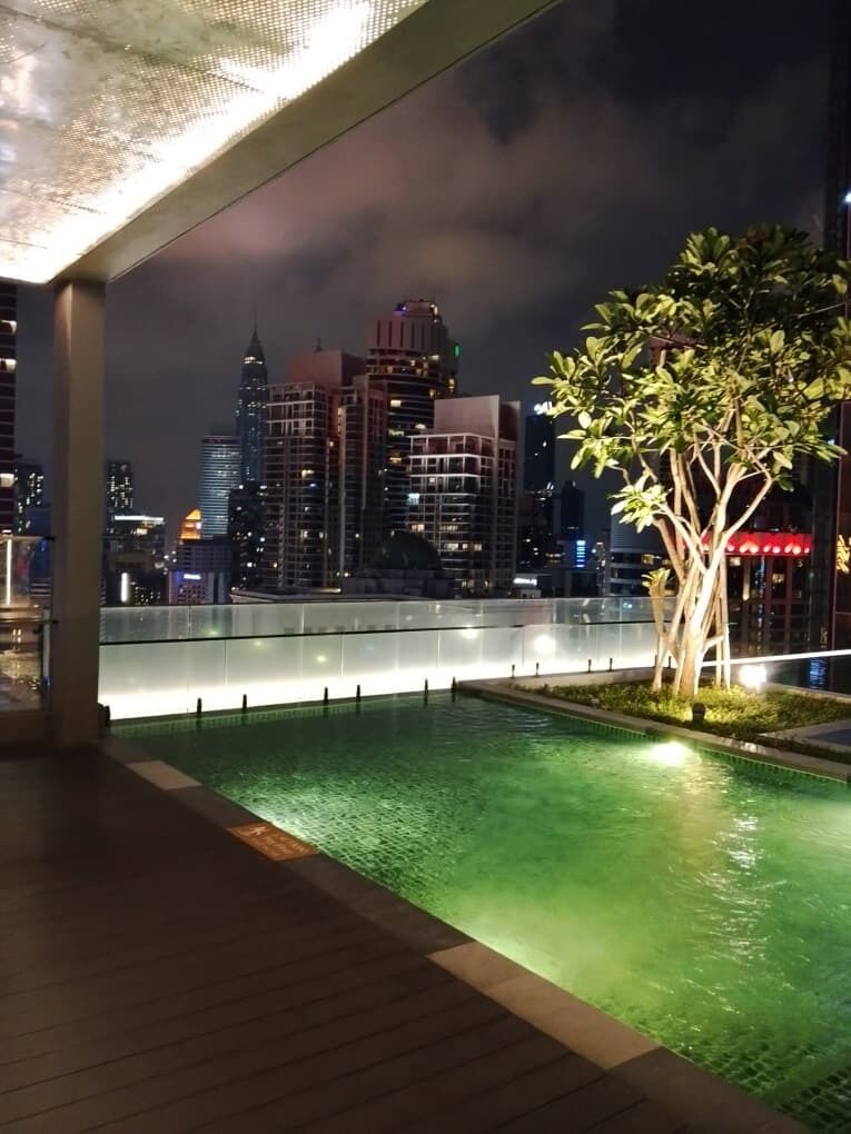 Uma piscina no terraço com vista para o horizonte da cidade, guarda-corpo de vidro e uma árvore.