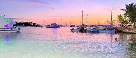 Apartamento | 2 quartos