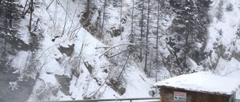 Vista da propriedade