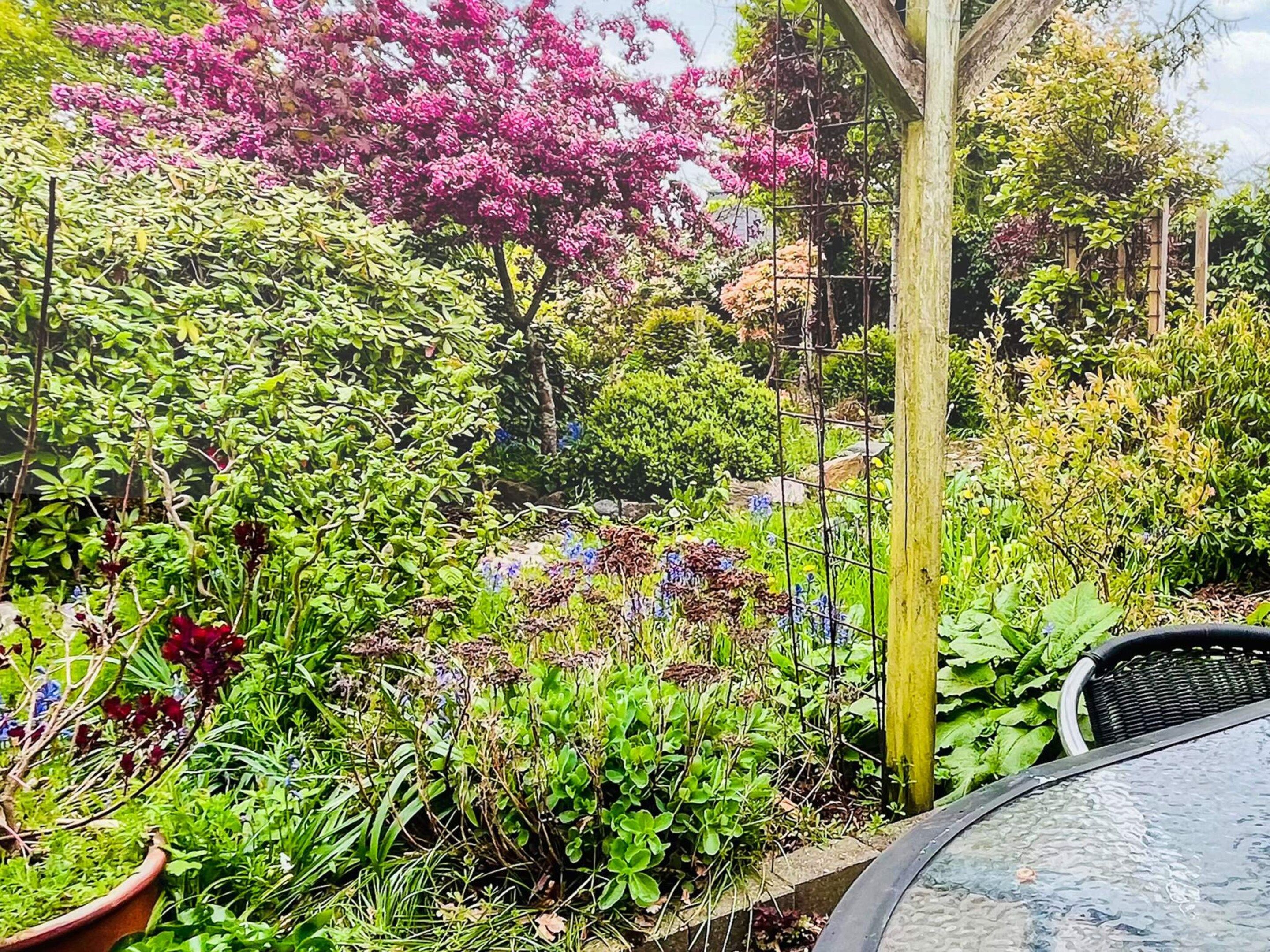 Um jardim com diversas plantas e uma estrutura de madeira.