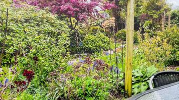 Um jardim com diversas plantas e uma estrutura de madeira.