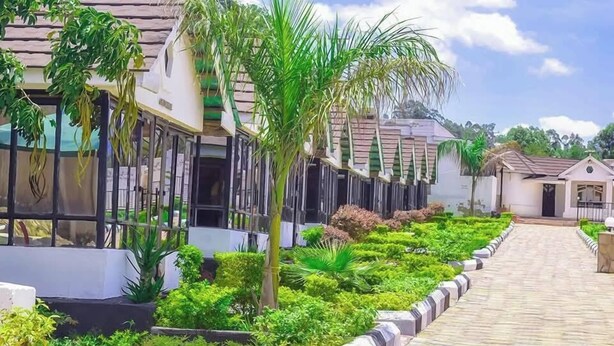 Uma trilha bordeada por vegetação exuberante e palmeiras, que conduz a um edifício com telhado em cerâmica e fachada branca.