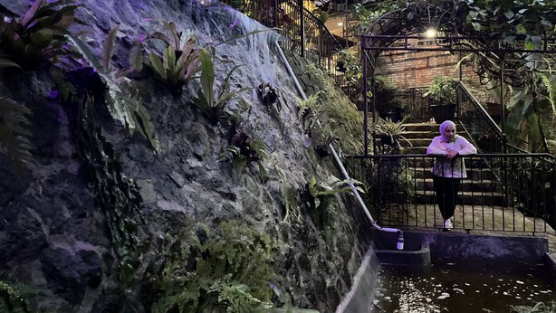 Uma cascata com uma pequena piscina na base, cercada por vegetação exuberante e plantas em vasos.