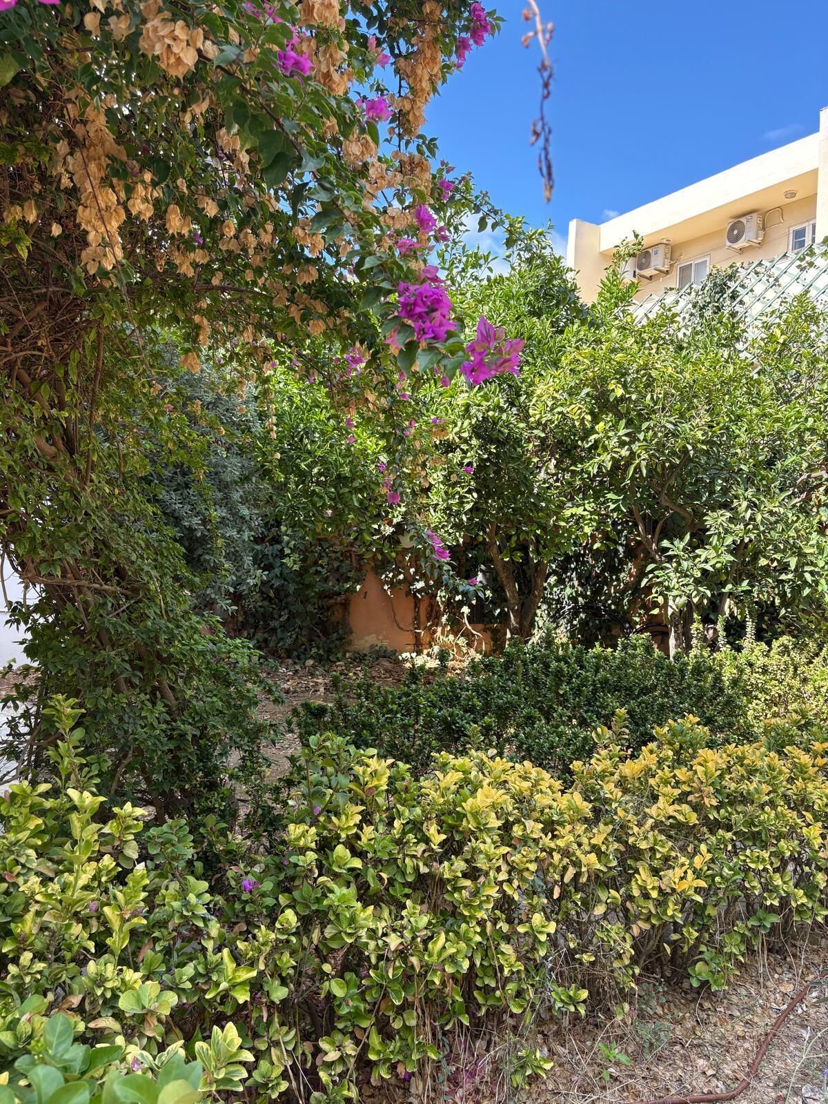 Terrenos do alojamento