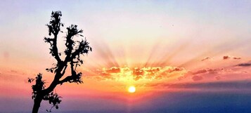 Pôr do sol com a silhueta de uma árvore contra um céu com raios de sol.