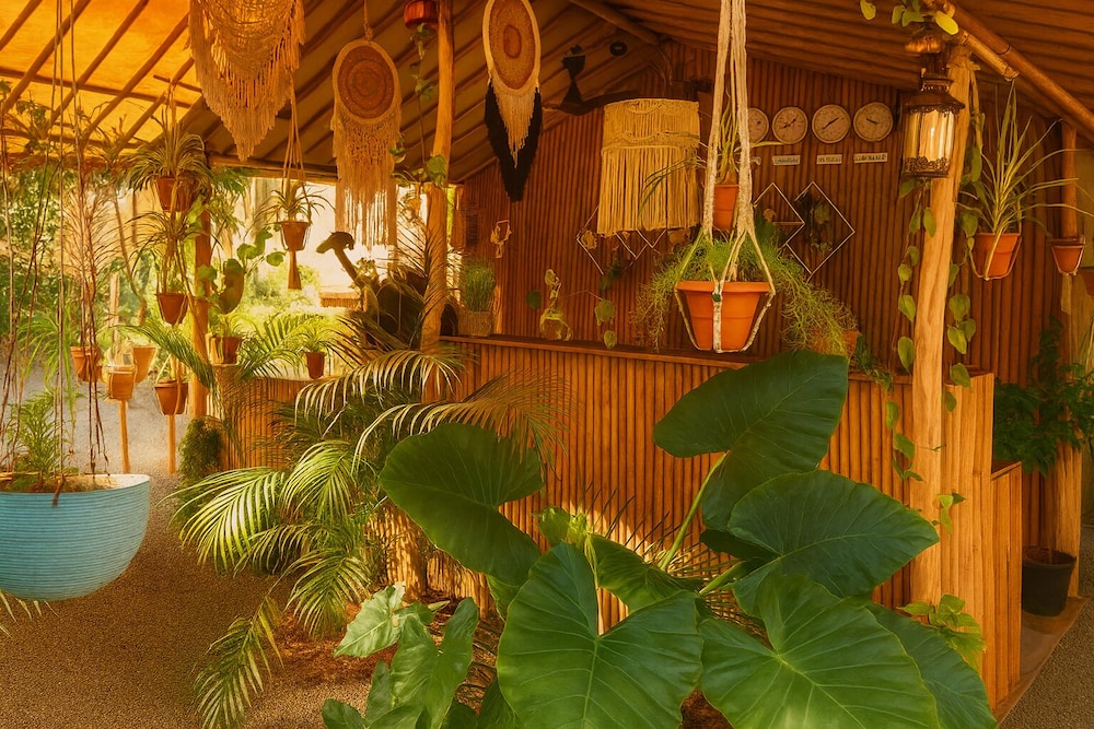 Arambol Bliss Hote Apartments - Goa