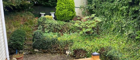 Área da propriedade